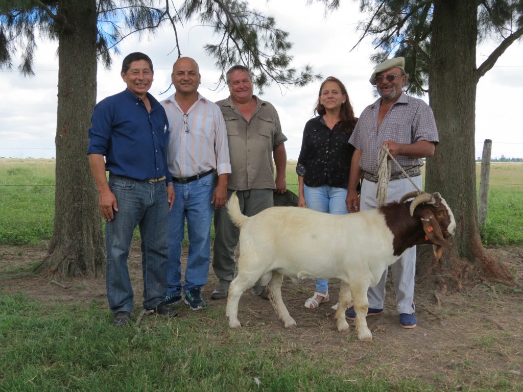 Llega un caprino macho reproductor a Villa Minetti | Radio EME