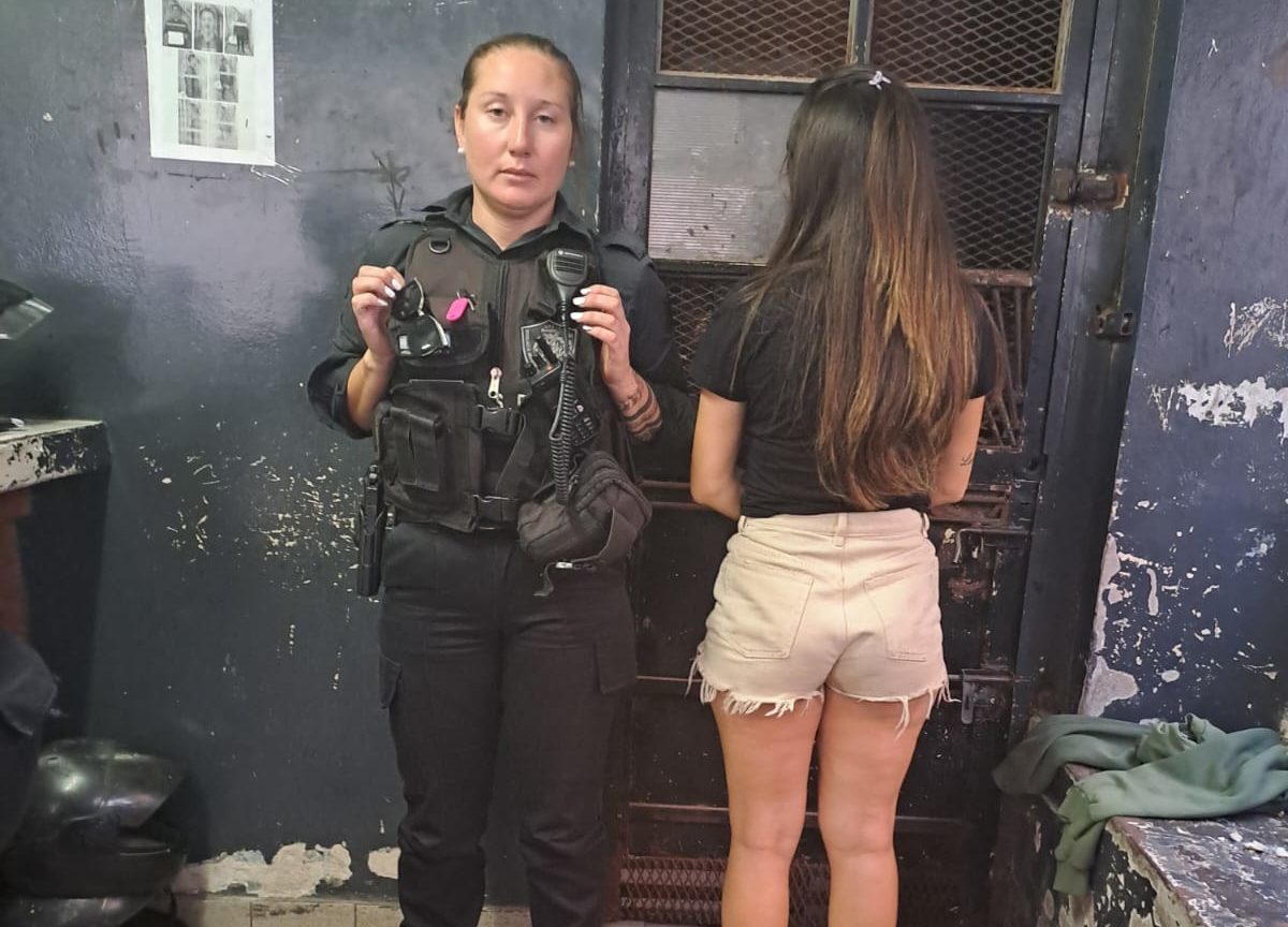 Una mujer dejó a su perro encerrado en un auto por más de siete horas y ...